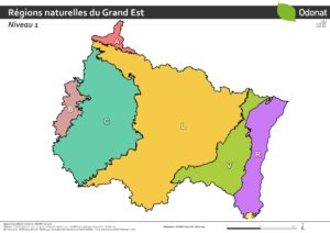Les Régions Naturelles du Grand Est – Odonat-Grandest